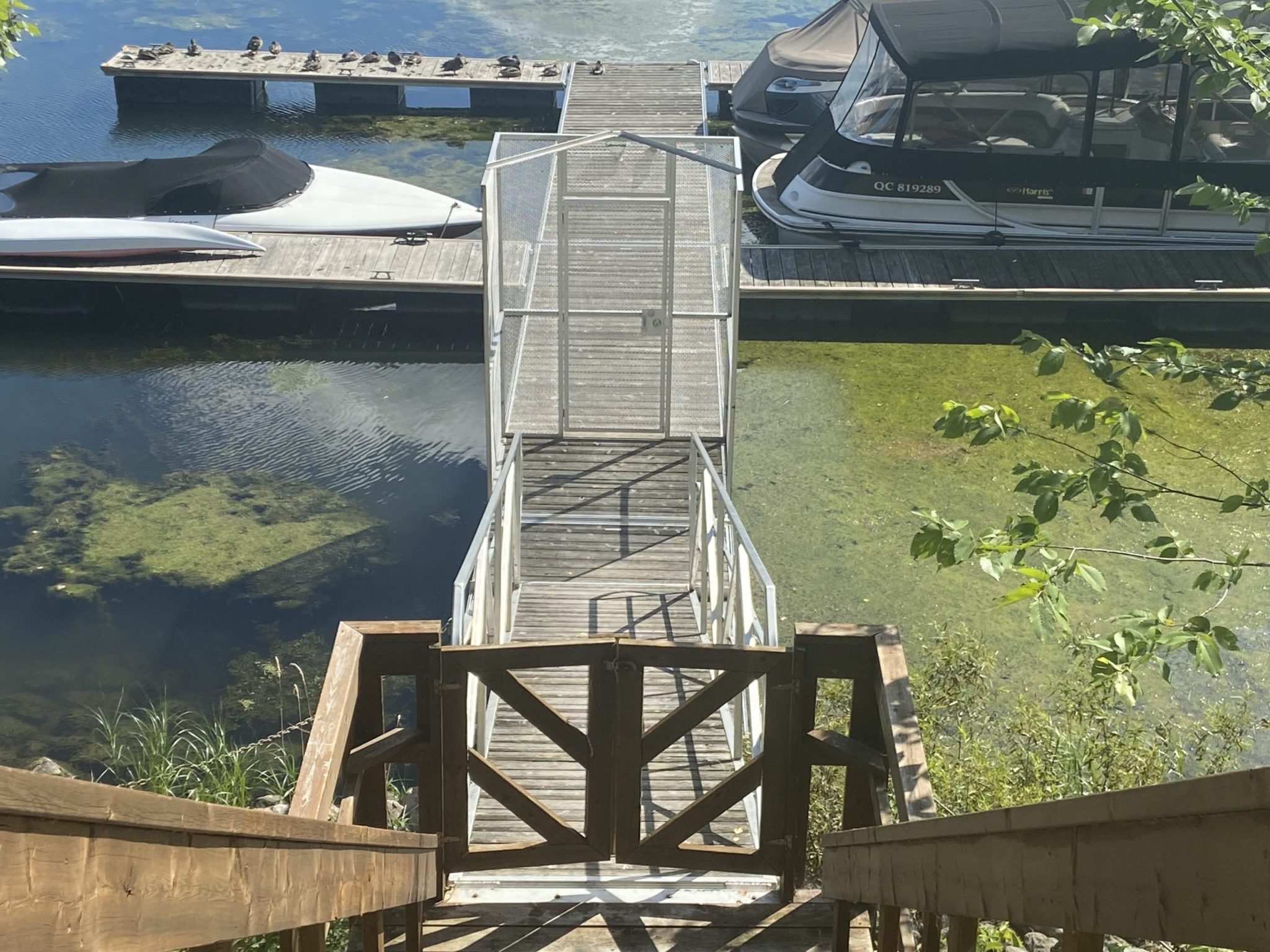 Le bassin de Chambly, « pire que jamais » - Le Journal de Chambly