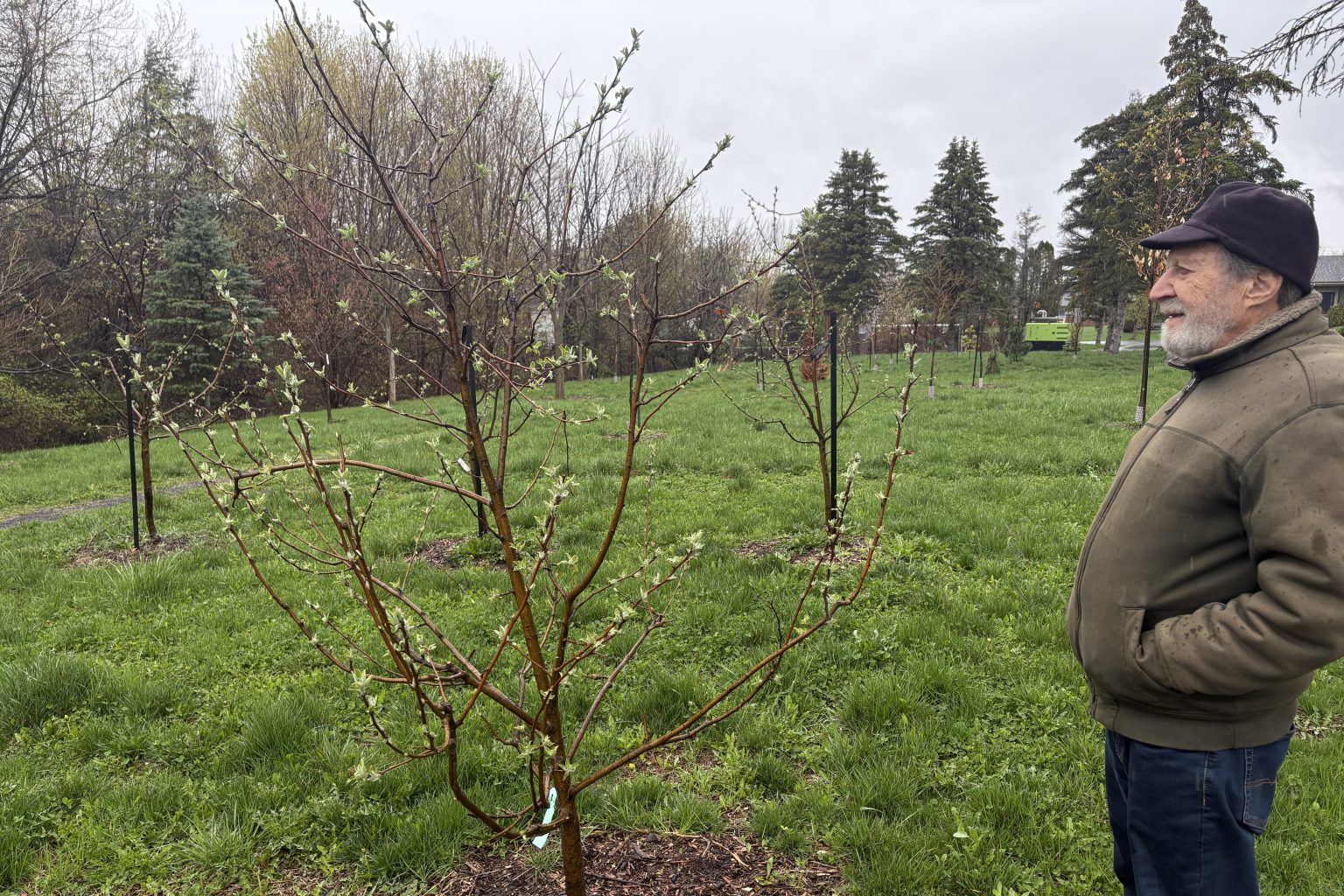 Richelieu : Jo-Ann Quérel : elle plantait des arbres - Le Journal de ...